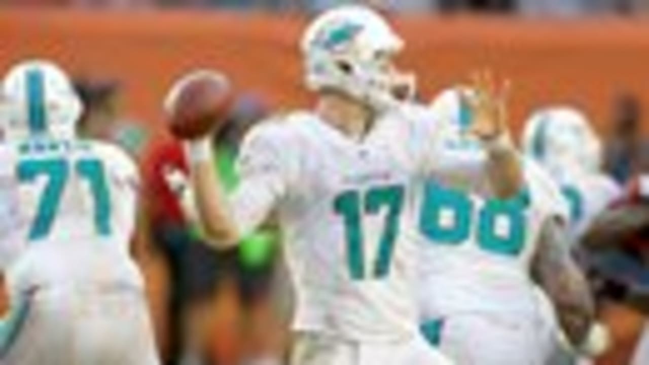 5 Things To Know About The Dolphins