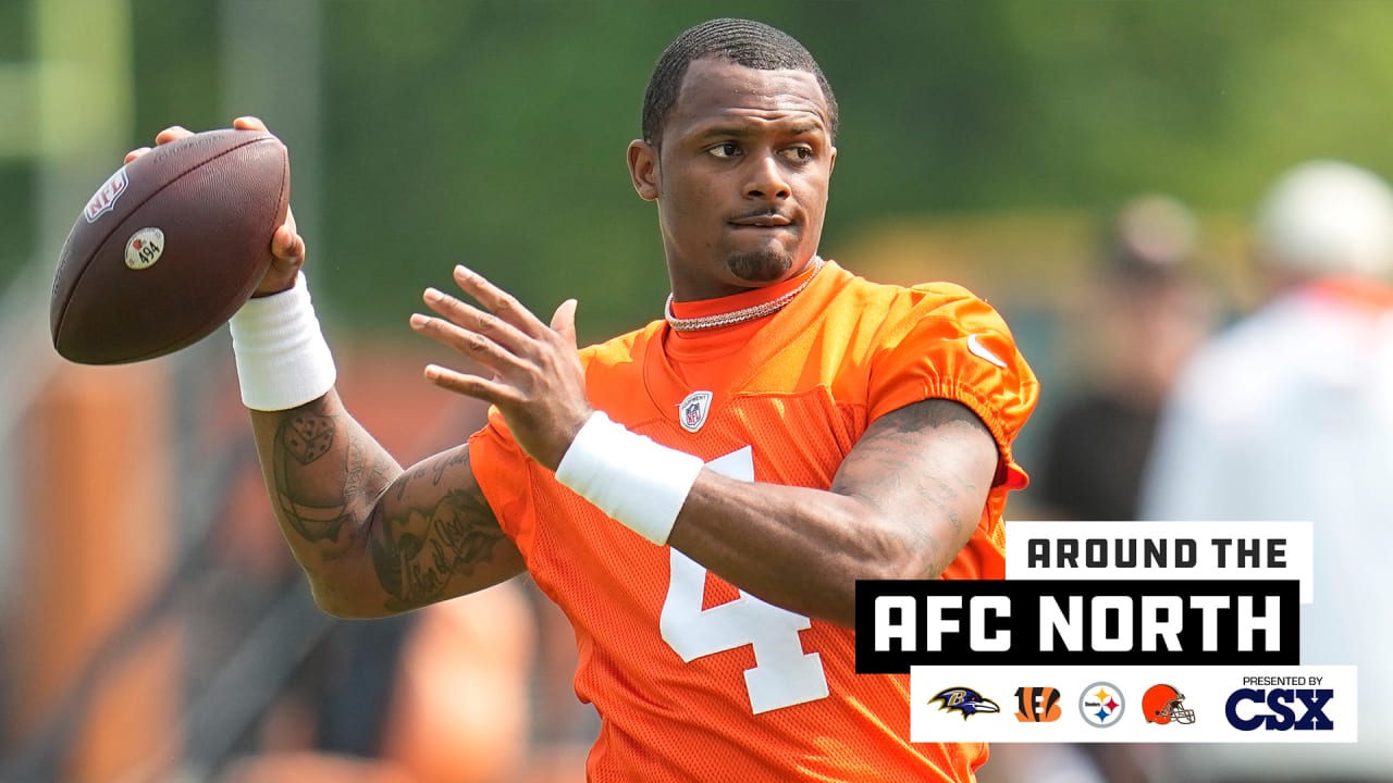 Kevin Stefanski Likes What He’s Seeing From Deshaun Watson