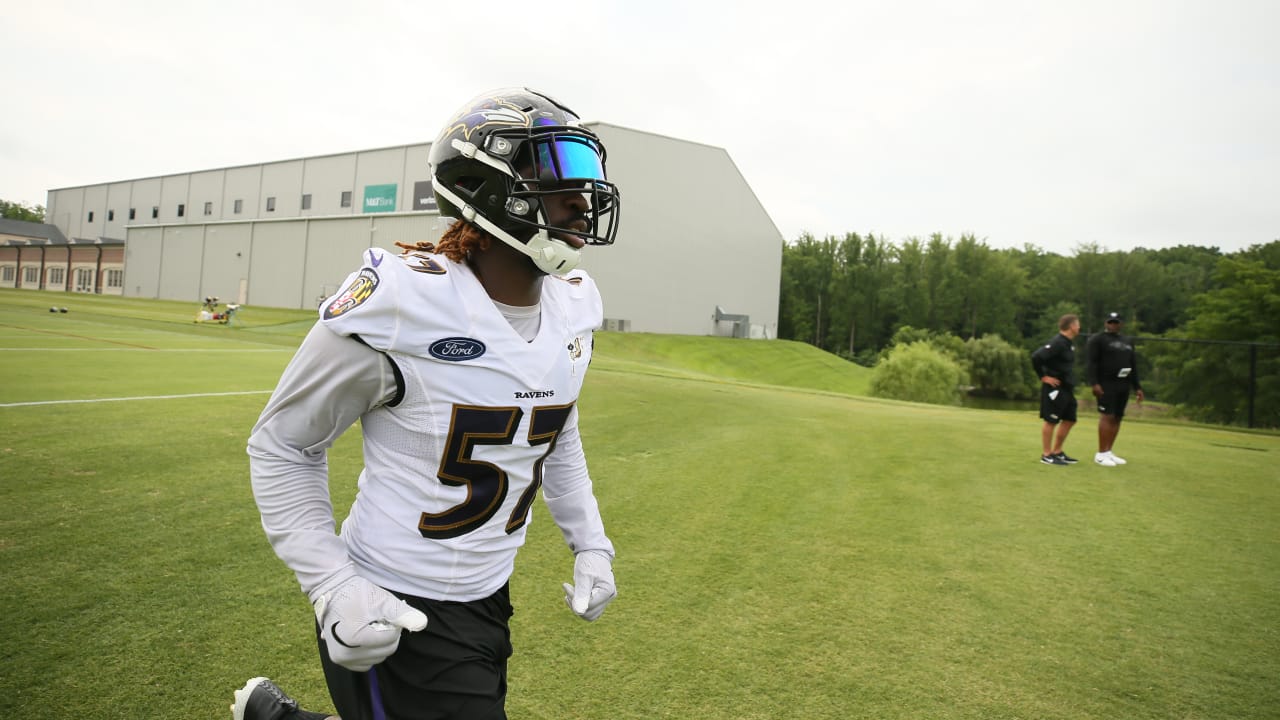 Camp Roster Breakdown: Inside Linebackers