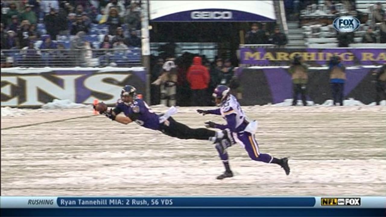 Pitta's Back! Impressive Diving Catch