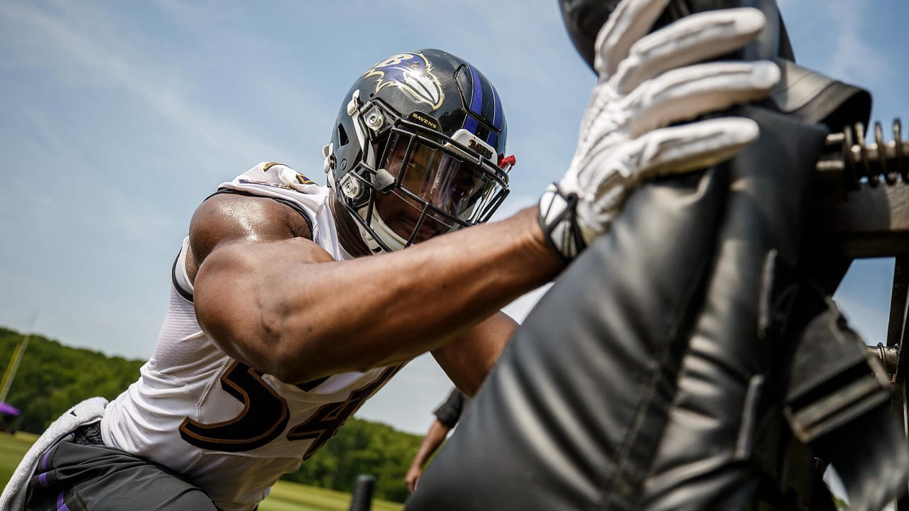 Tyus Bowser Says He’s Ready to Blossom as a Pass Rusher