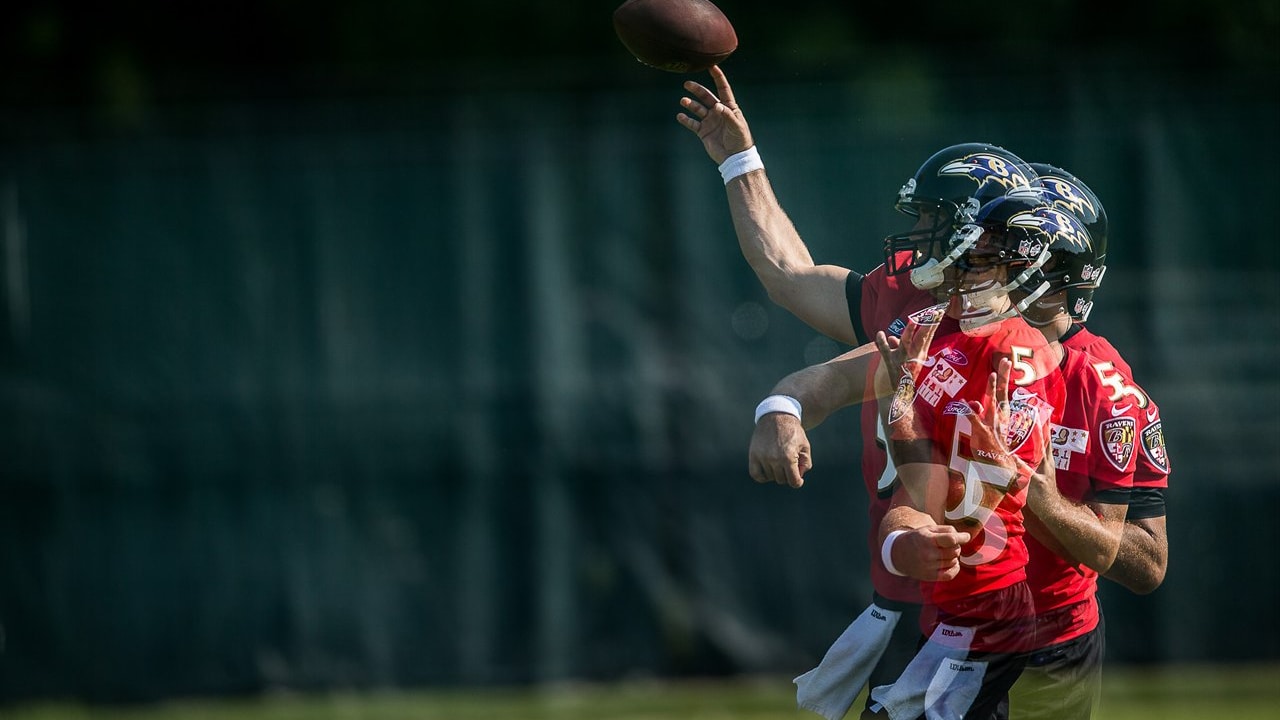 125 Amazing Photos From Ravens 2014 Season