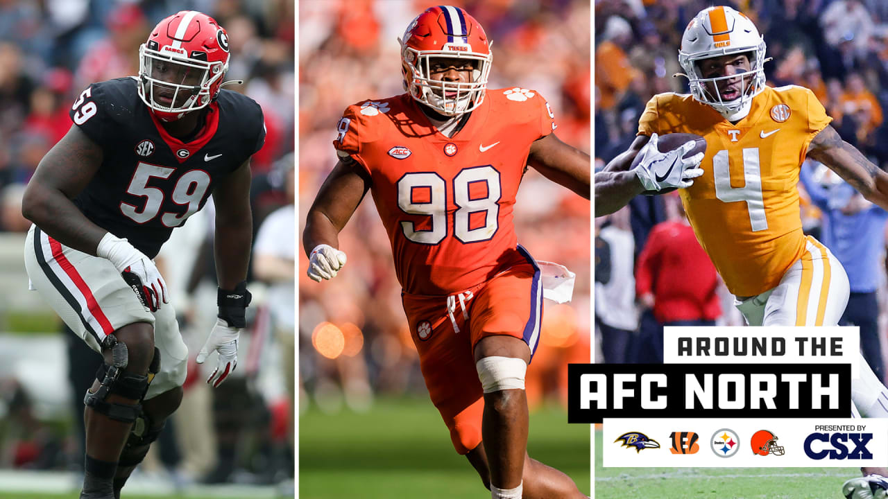 Draft Recap for Ravens' Division Rivals