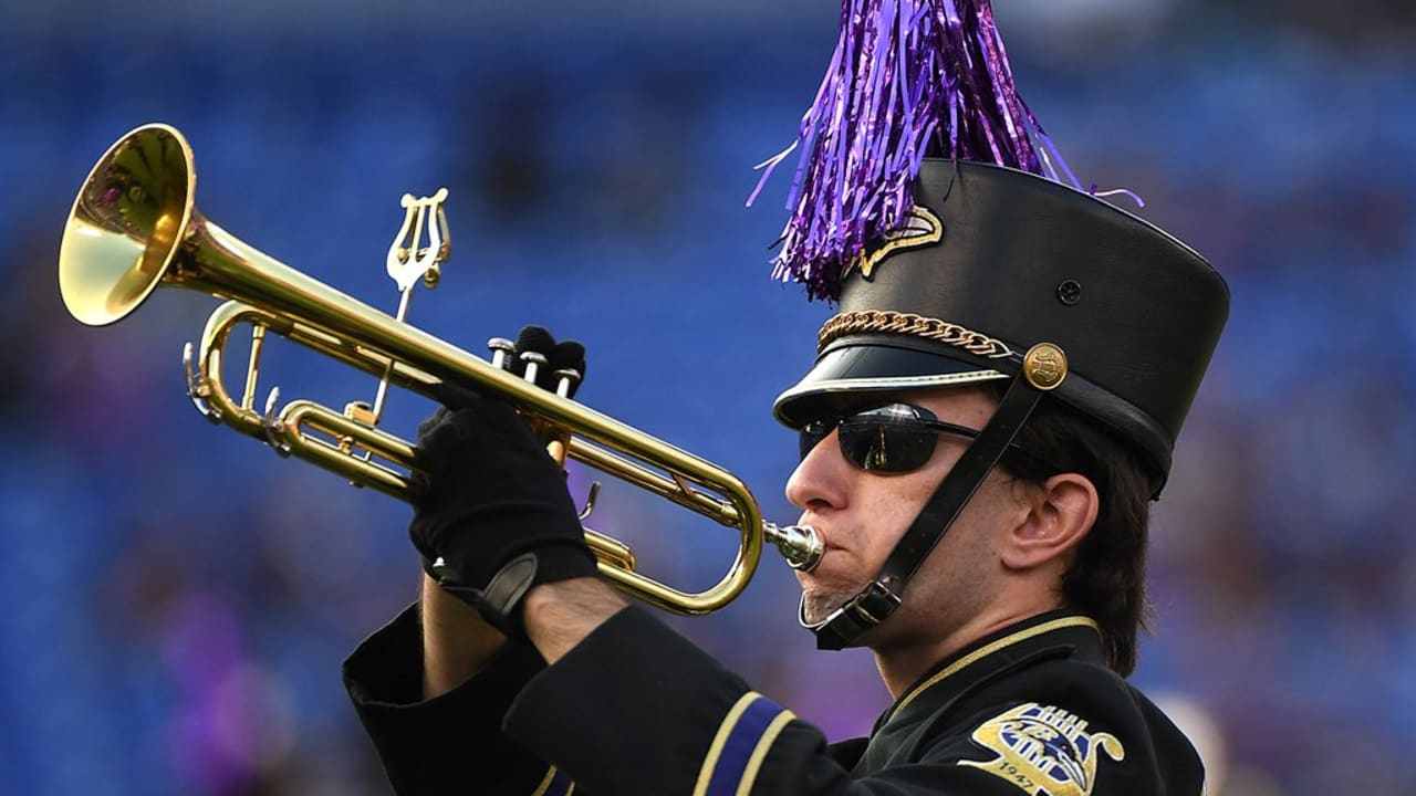 2017 Marching Ravens