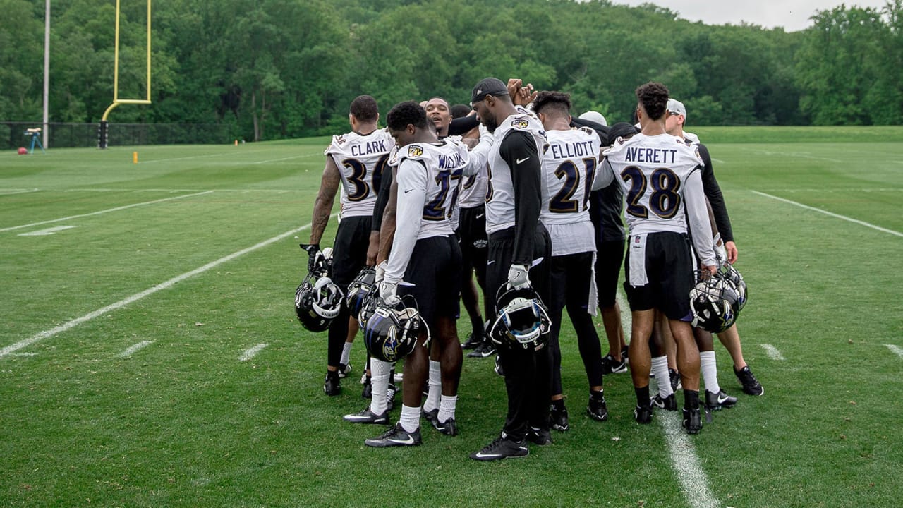 Ravens Defense Has More Depth, Could Be Even Better in 2018