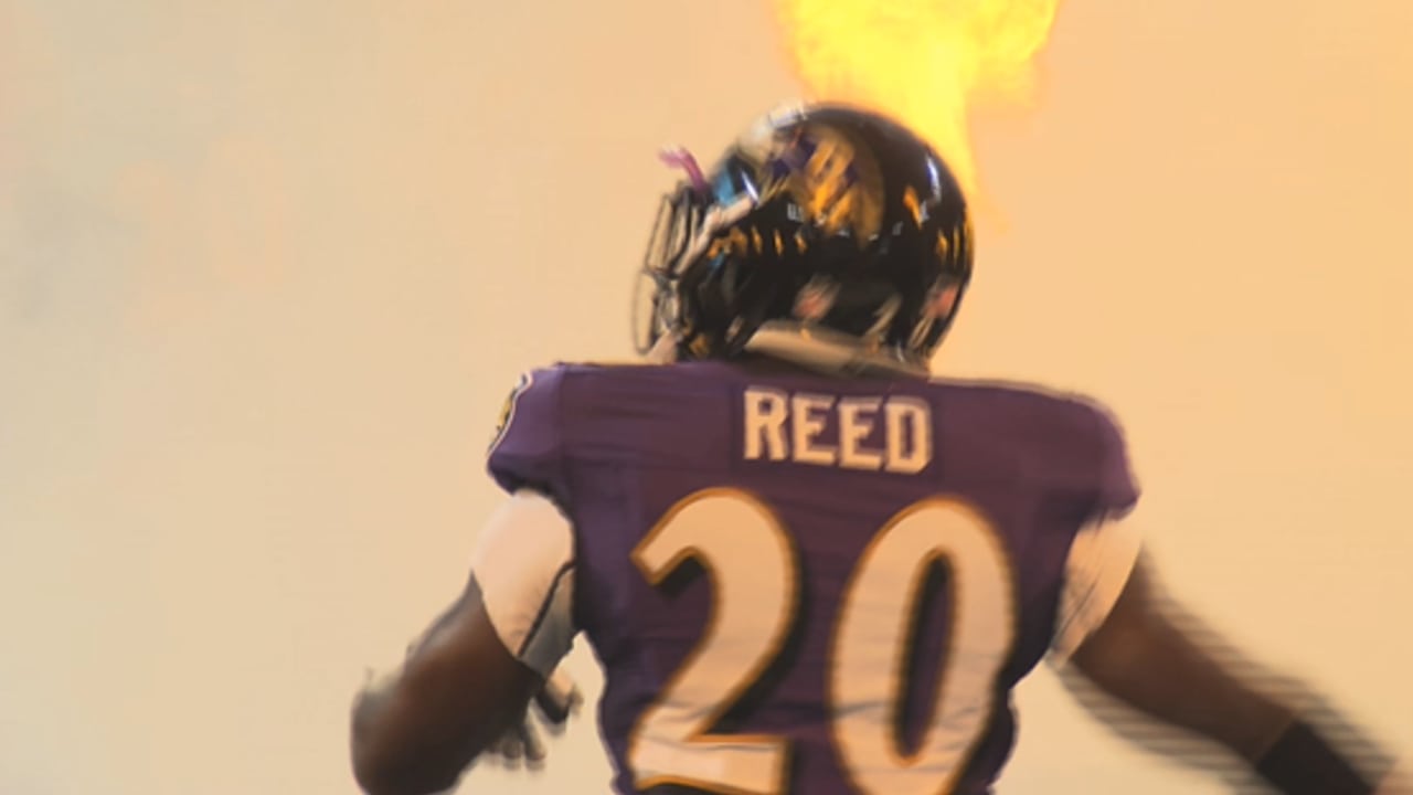 Ed Reed 2012 Highlights