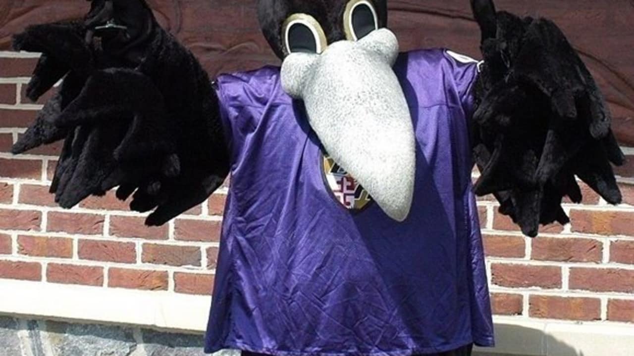 Poe: NFL's Most Fierce Mascot