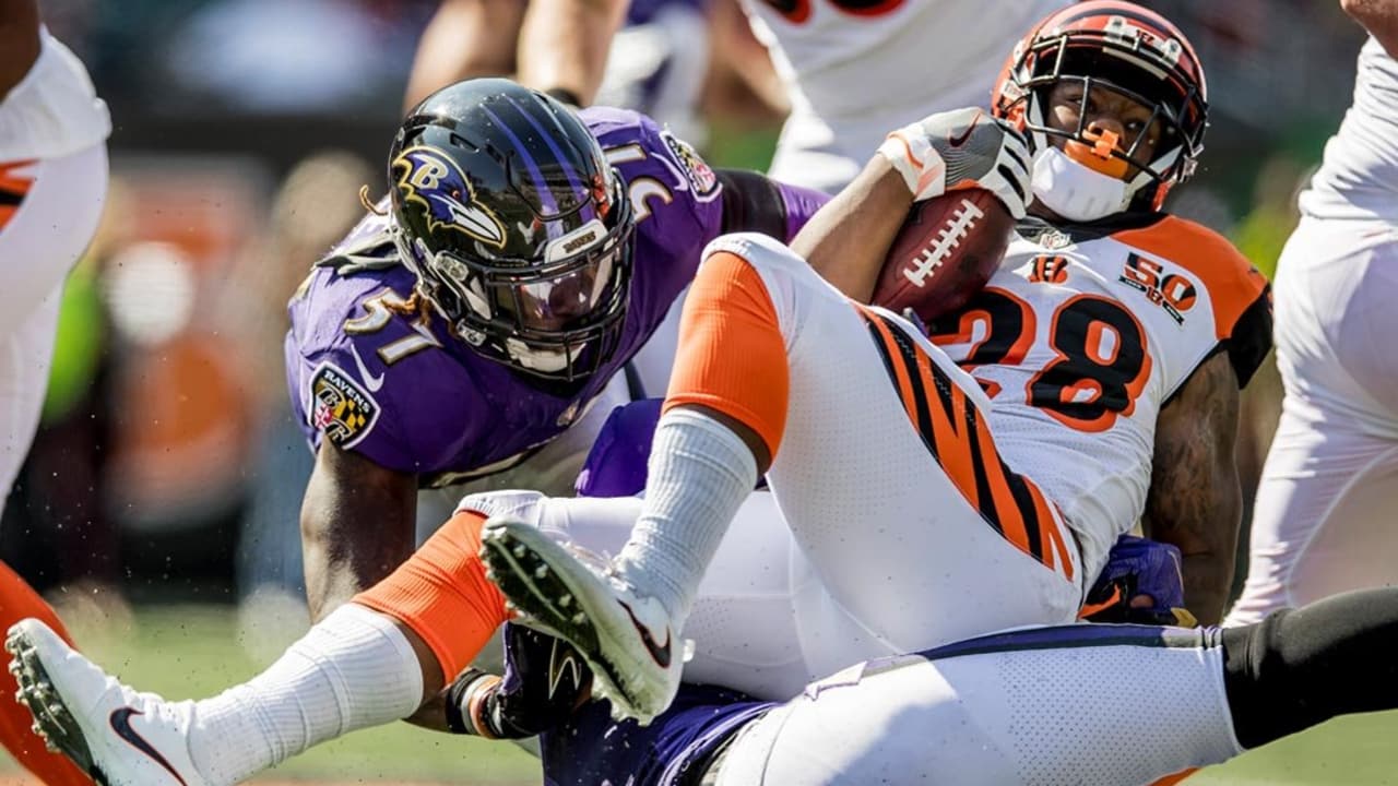Ravens vs. Bengals: Win and Get in