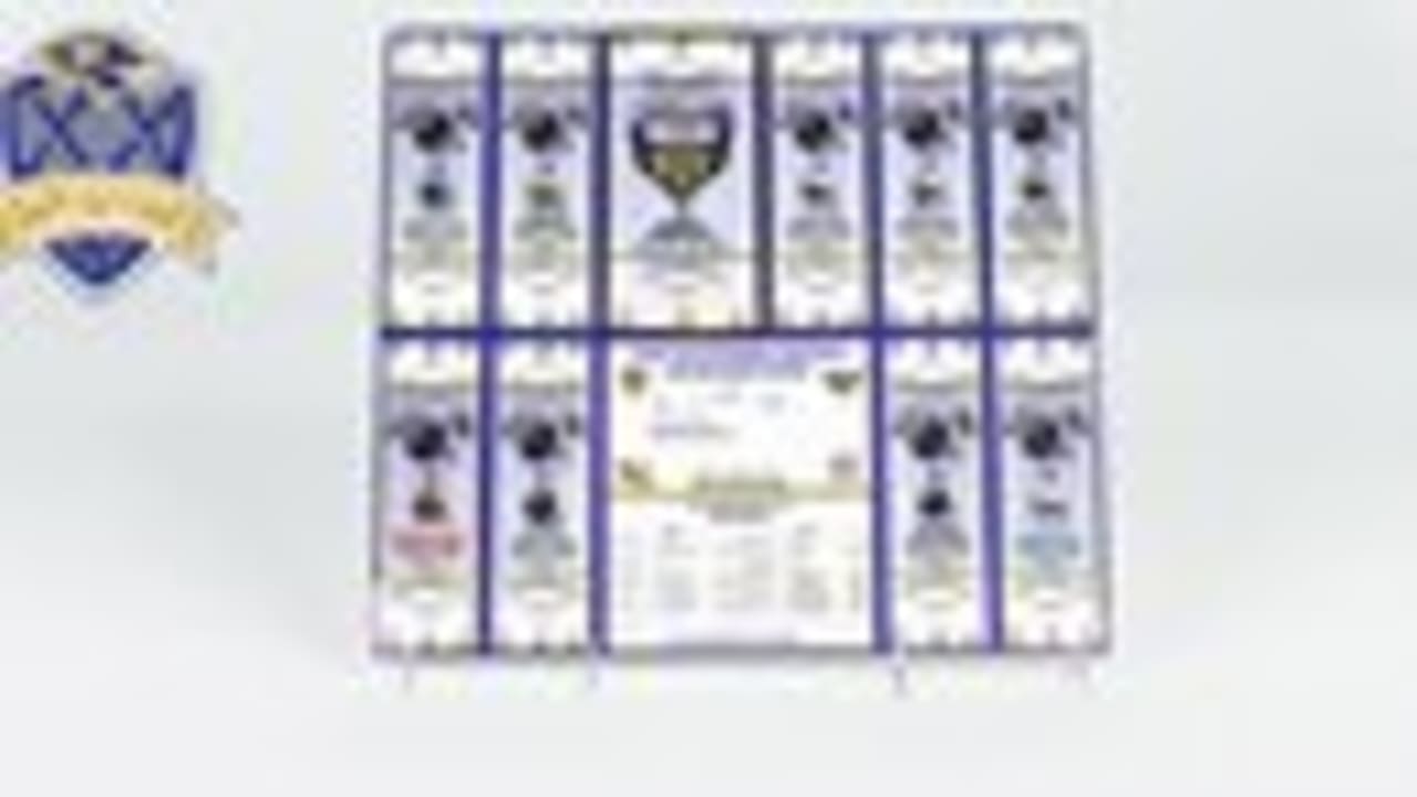 20 Ravens Relics In 20 Years: 1996 Tickets Sheet