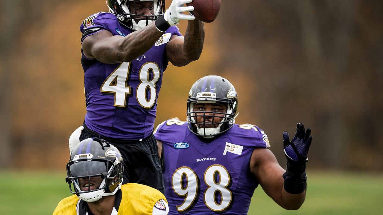 Ravens Get Key Pieces Back in Preparation for Titans