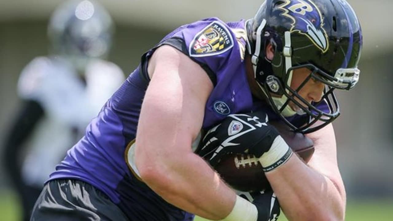 Maxx Williams Minicamp Practice Highlights