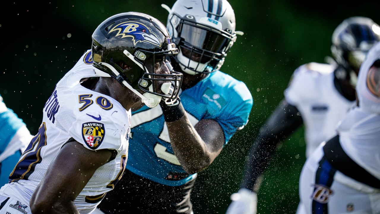 Best Photos From Day 2 of Ravens-Panthers Joint Practices