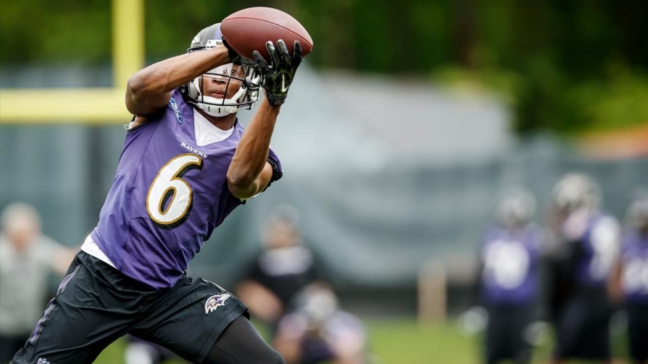 Camp Highlights: Tim White's Leaping Touchdown Snag