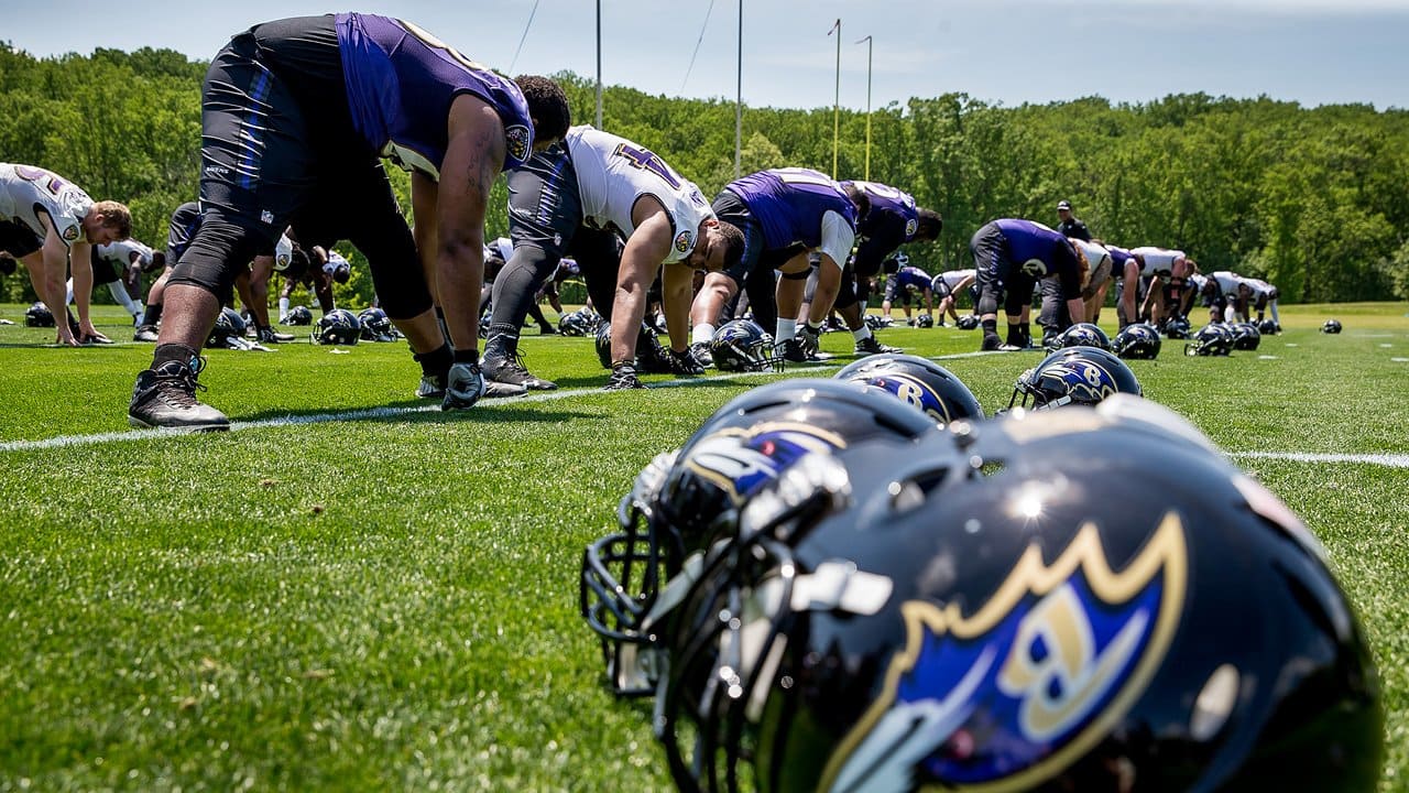40 Beautiful Shots Of Ravens OTA Kickoff