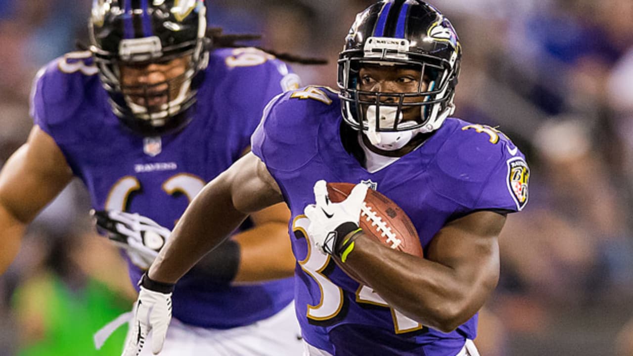Ravens Officially Sign Running Back Bobby Rainey