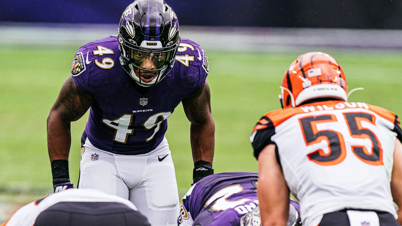 Ravens Re-Sign Linebacker Chris Board to One-Year Deal