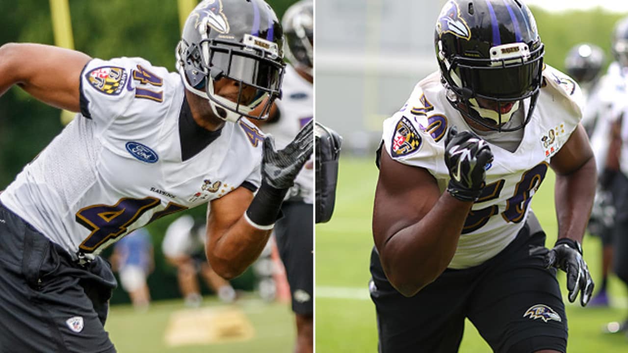 Anthony Levine and Albert McClellan are Ravens' Ultimate Utility Men