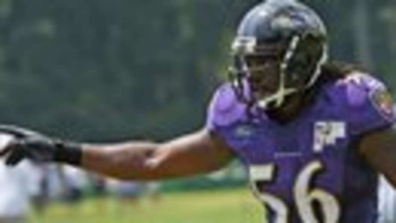 Ravens Bring Josh Bynes Back To Practice Squad