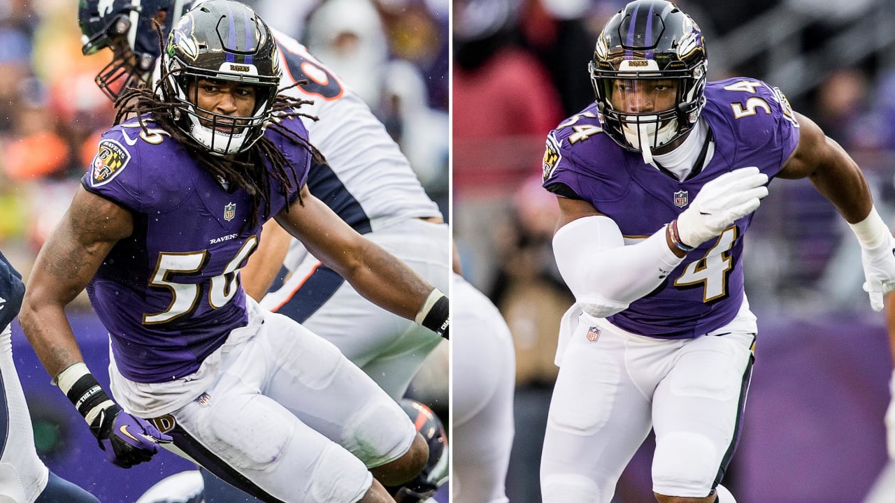 Ravens Expect Tim Williams, Tyus Bowser to Emerge in Year 3