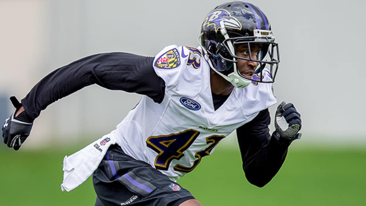 Lardarius Webb Impressed By Rookie Cornerback Tavon Young