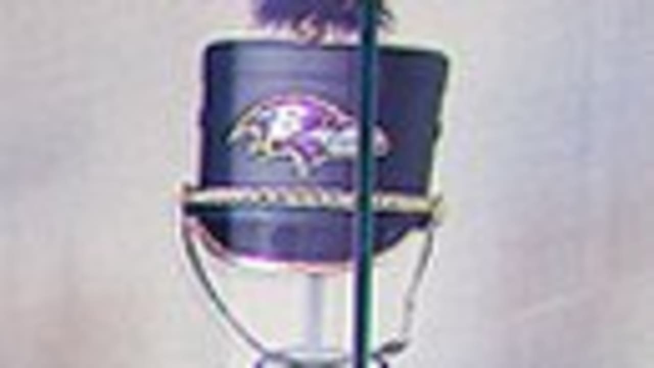 The Band's New Threads