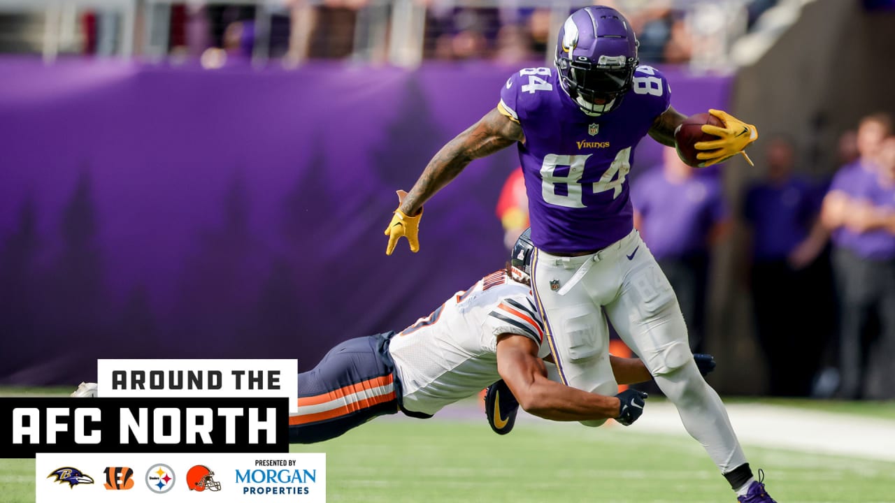 Bengals Reportedly Sign Irv Smith to Replace Hayden Hurst