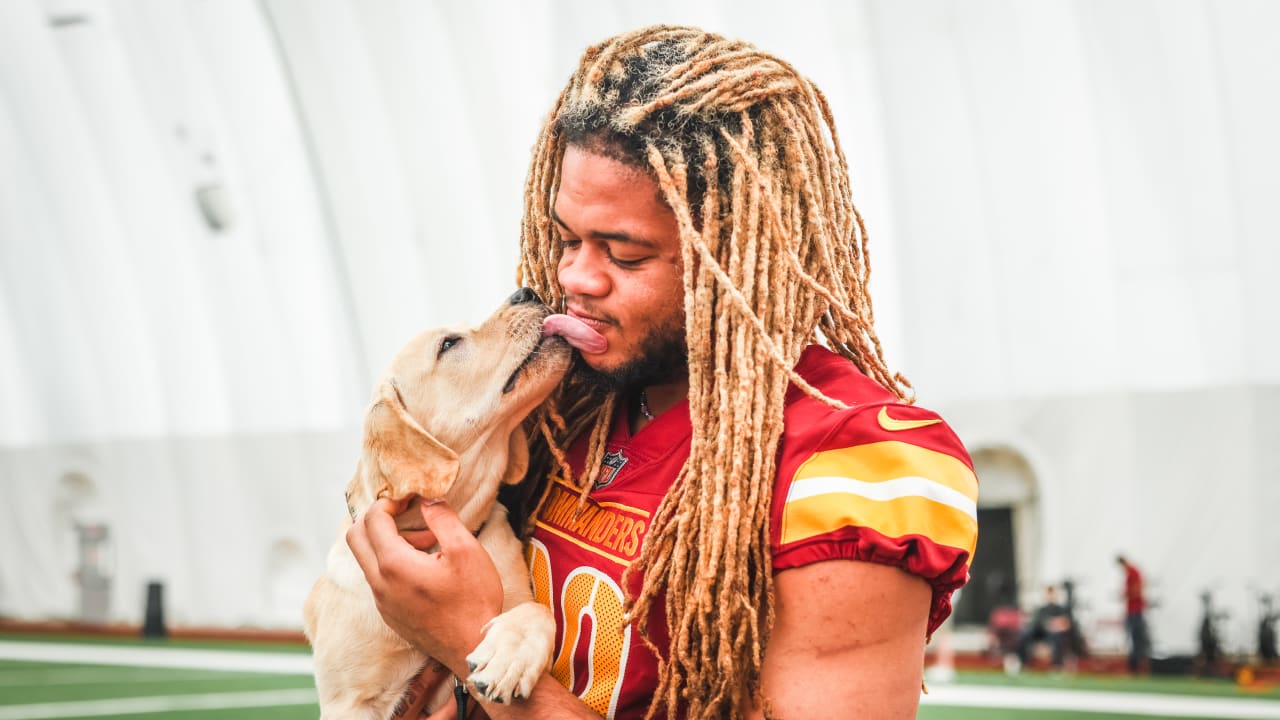 PHOTOS | Introducing Washington's newest team dog, Goldie