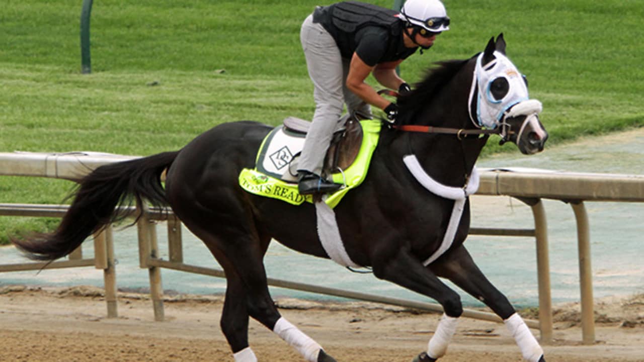 GMB Racing: Tom's Ready to stand at Spendthrift upon retirement