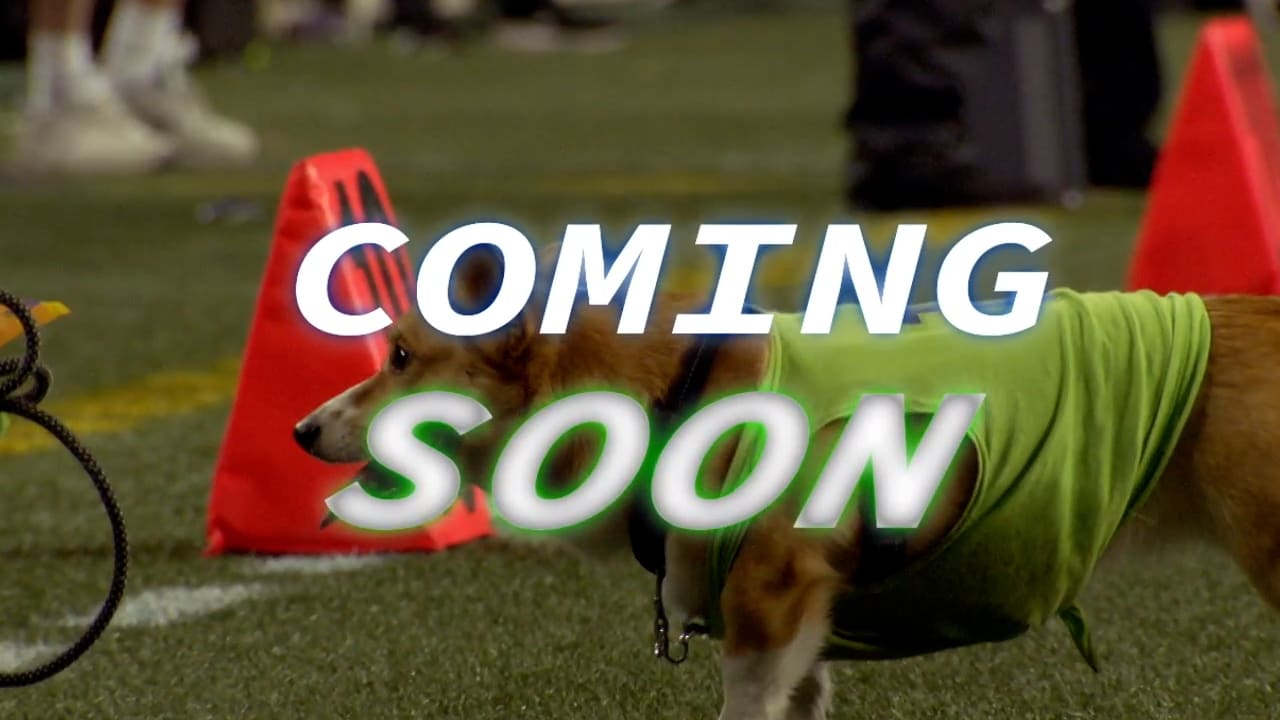 The Corgi Cup Returns To Lumen Field