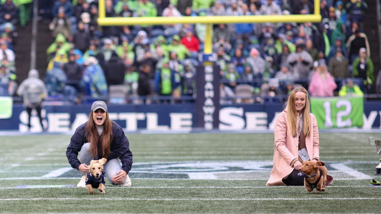 PHOTOS: Wiener Dogs Race To A Photo Finish During Halftime Of Regular ...