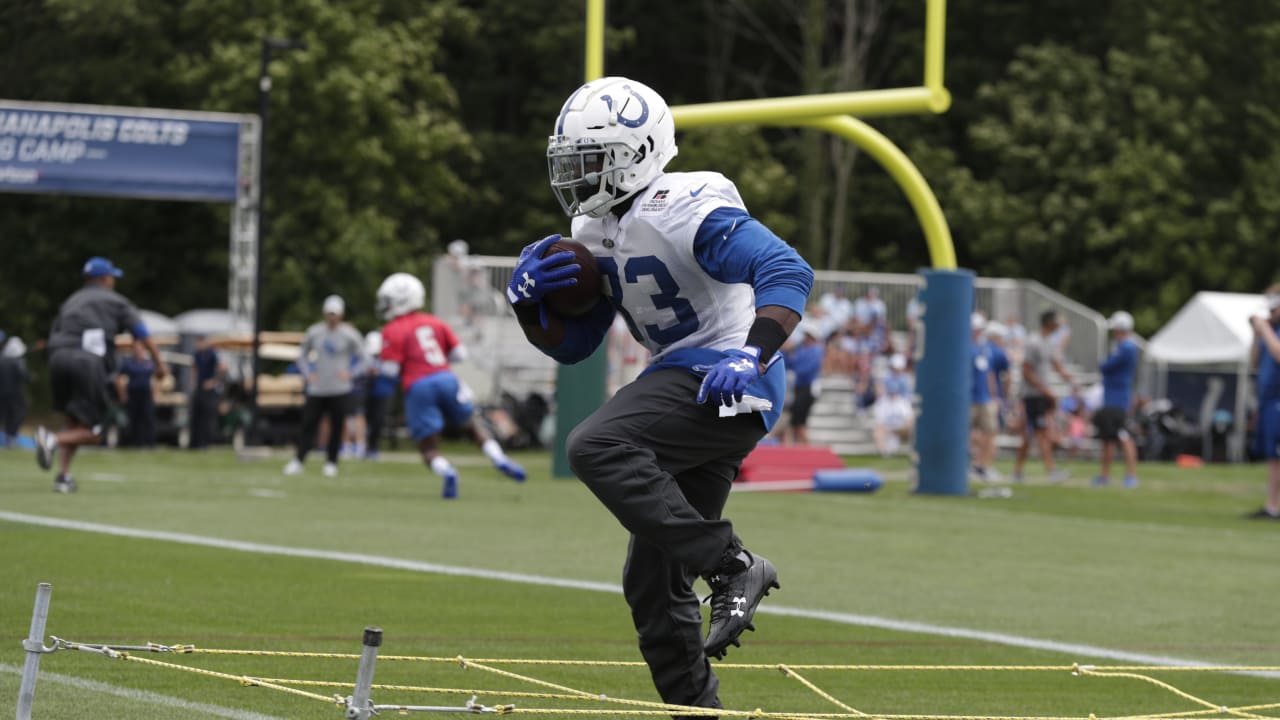 Seahawks Sign A Pair of Safeties, Promote Tight End Darrell Daniels ...