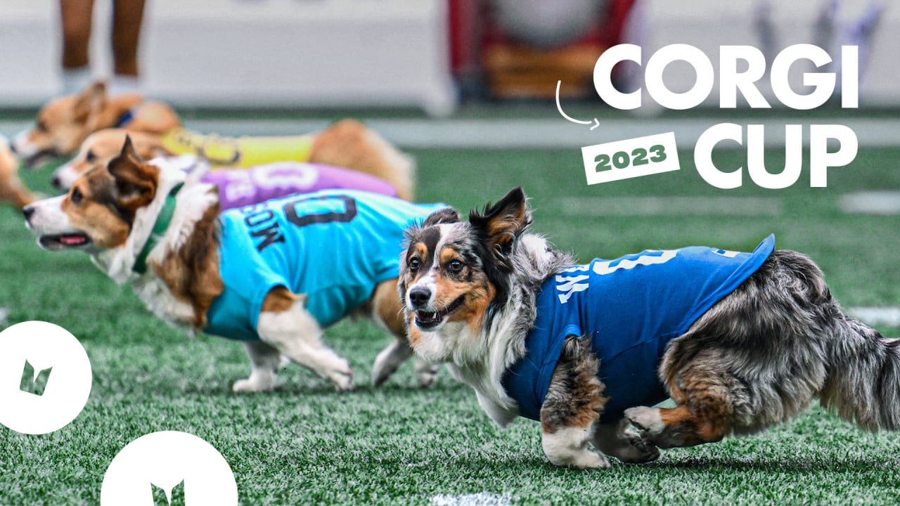 Seahawks Host 2023 Corgi Cup