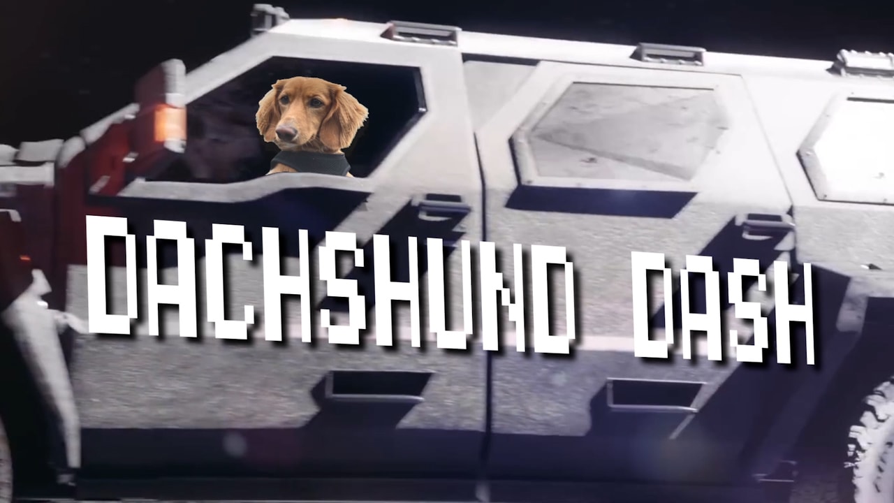 Seahawks Host 2022 Dachshund Dash At Lumen Field