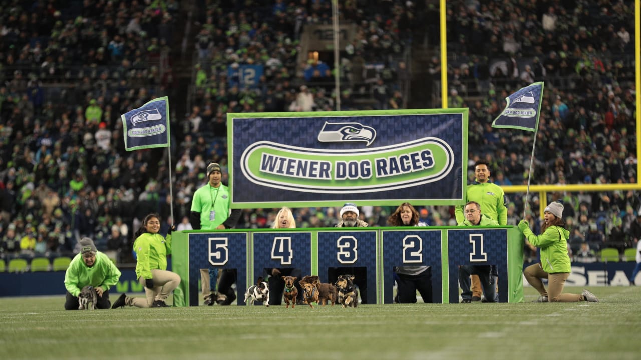 Wiener Dog Race Halftime Ceremony