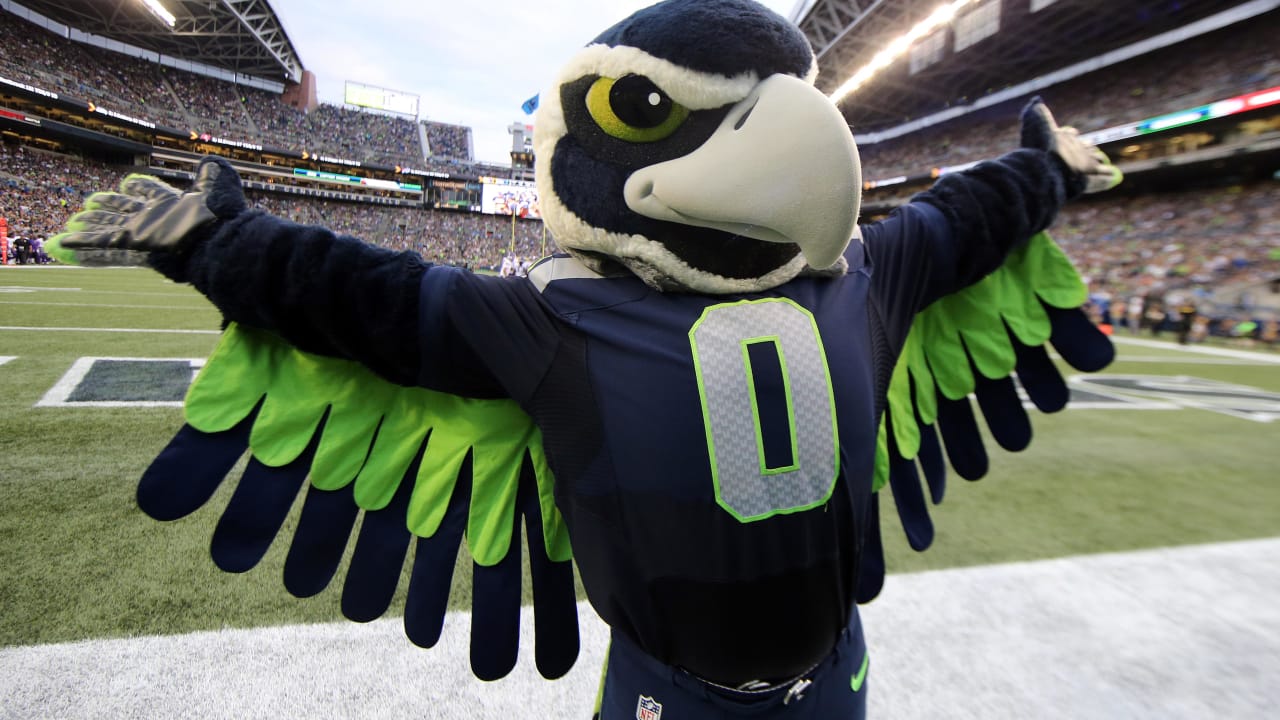 Blitz The Seahawk Valentine's Day Deliveries