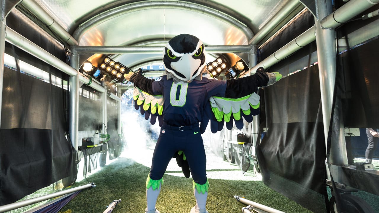 Watch: Seahawks Special Teams Celebrate With Team Mascot Blitz