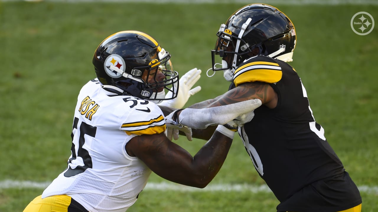 PHOTOS: The best of Steelers Camp - Aug. 22