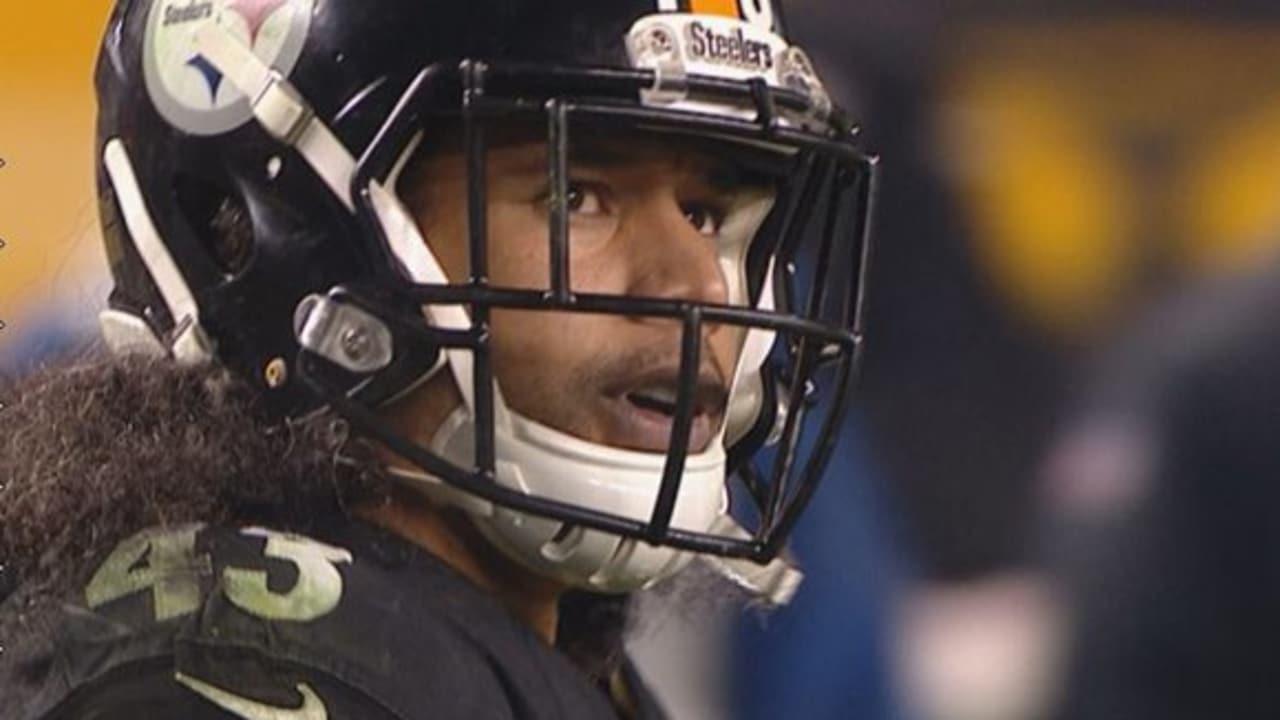 Troy Polamalu Highlights