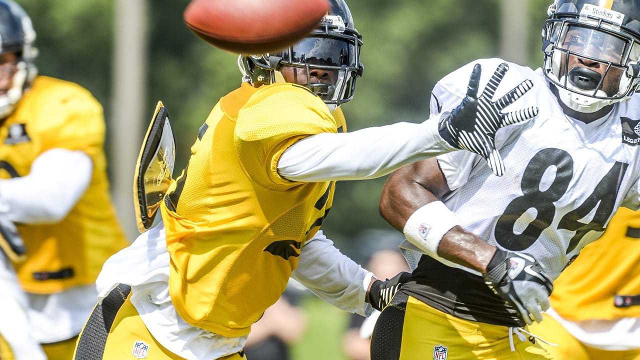 PHOTOS: 2014 Steelers Training Camp - Day 10