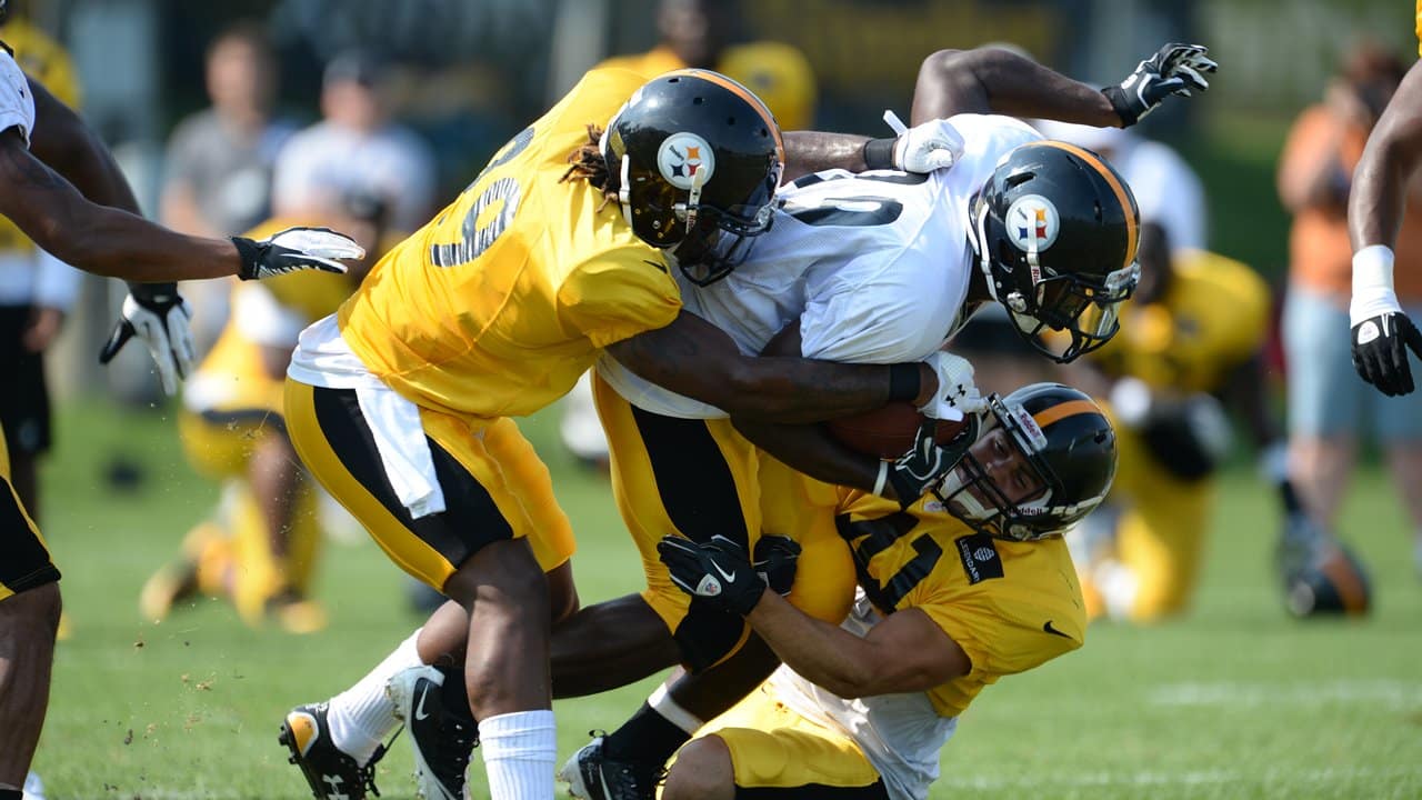 Steelers Training Camp - Day 12