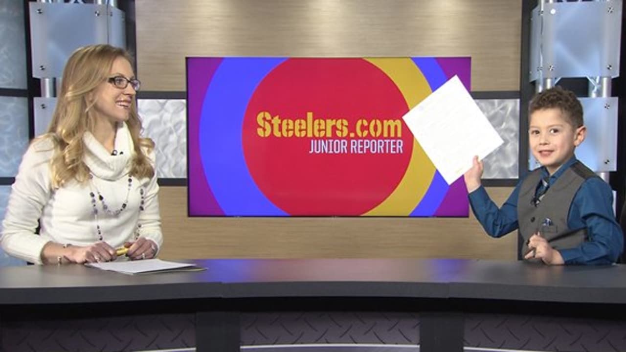 Steelers Jr. Reporter: Free Agency
