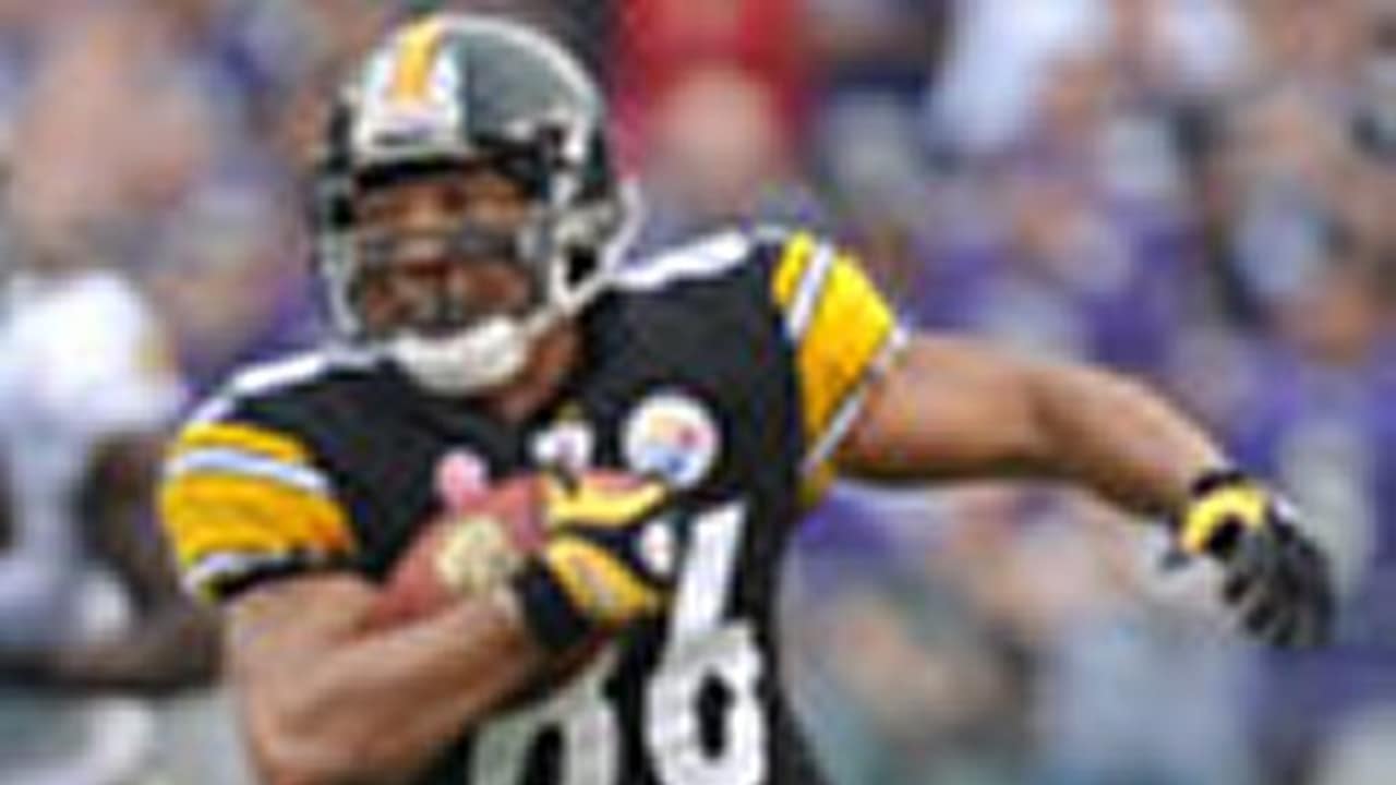 Hines Ward Career Highlights