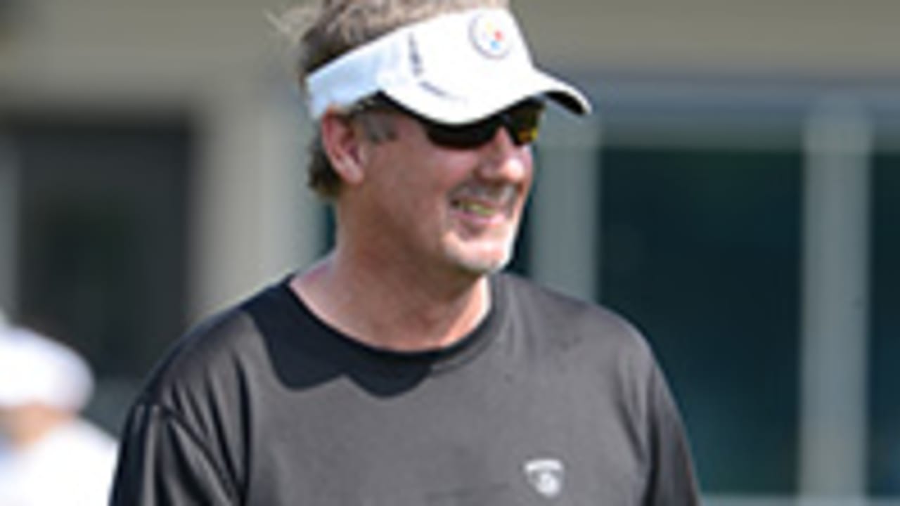 Steelers defense beginning to take shape under Butler