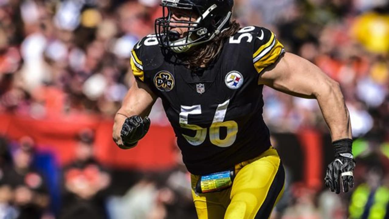 Face Time with Chickillo