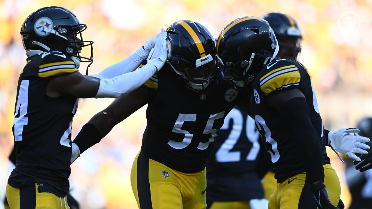 Steelers defeat Lions, 19-9