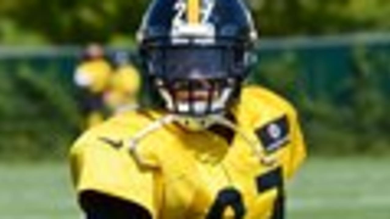 Blake settling in with Steelers