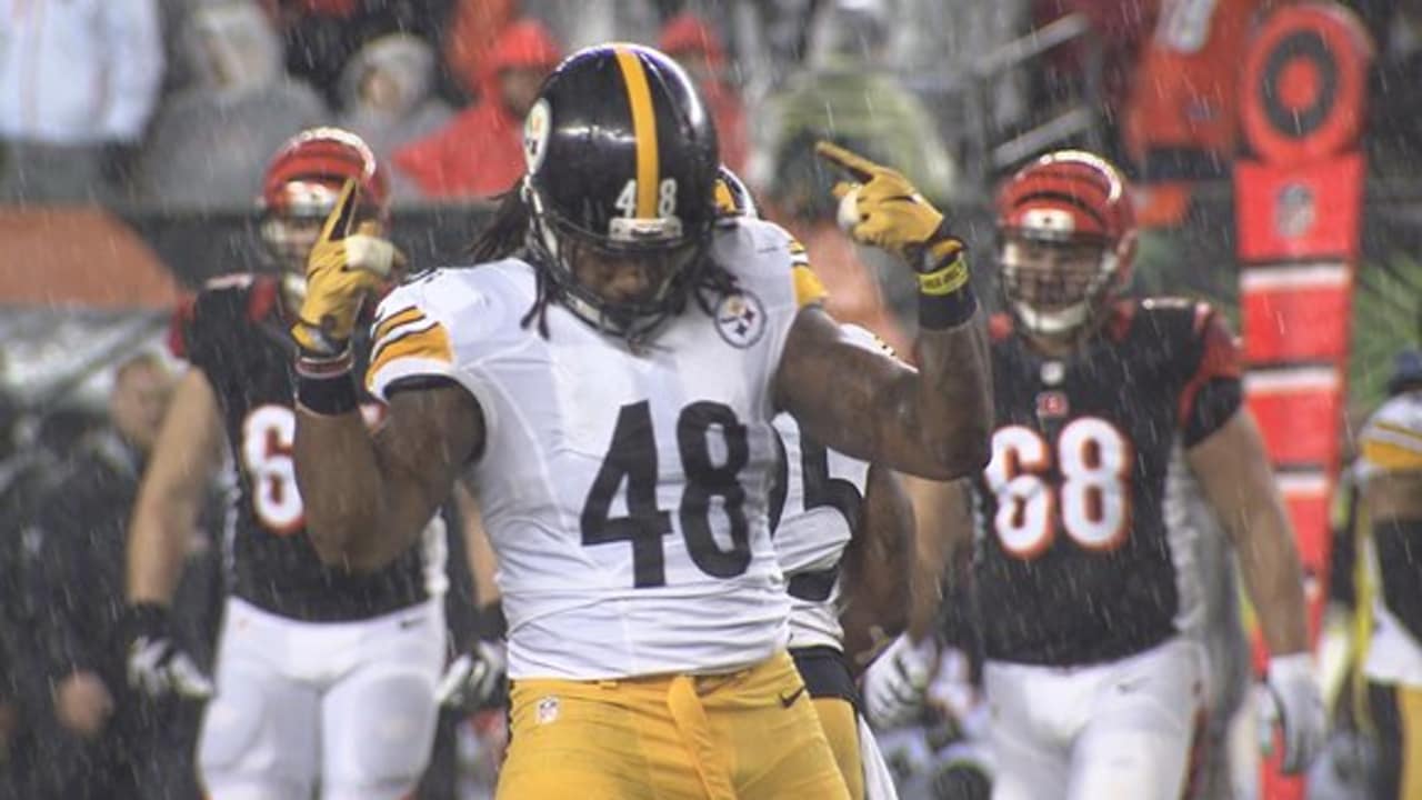 Dupree: 2015 Highlights