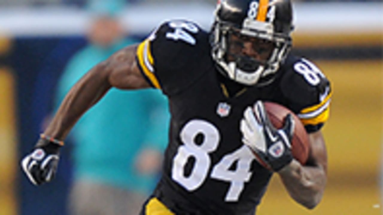 Brown to play on 'Team Sanders'