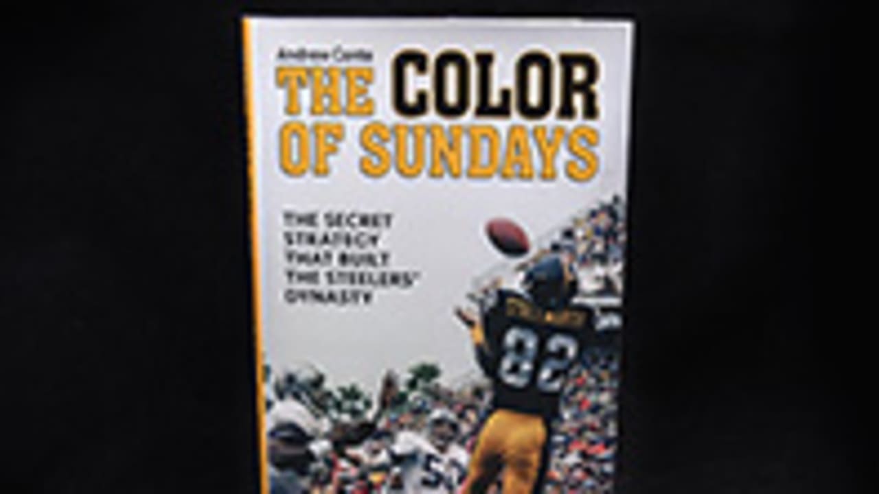 Book review: "The Color of Sundays"