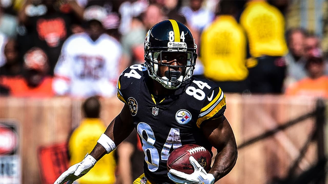 Brown, Bell & DeCastro honored